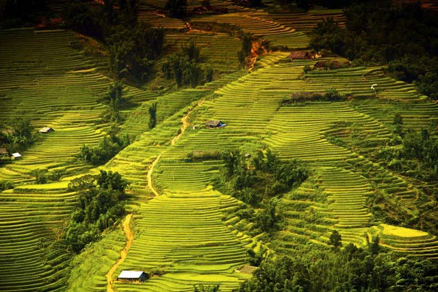 Sapa: One of the top 10 most attractive destinations in Vietnam